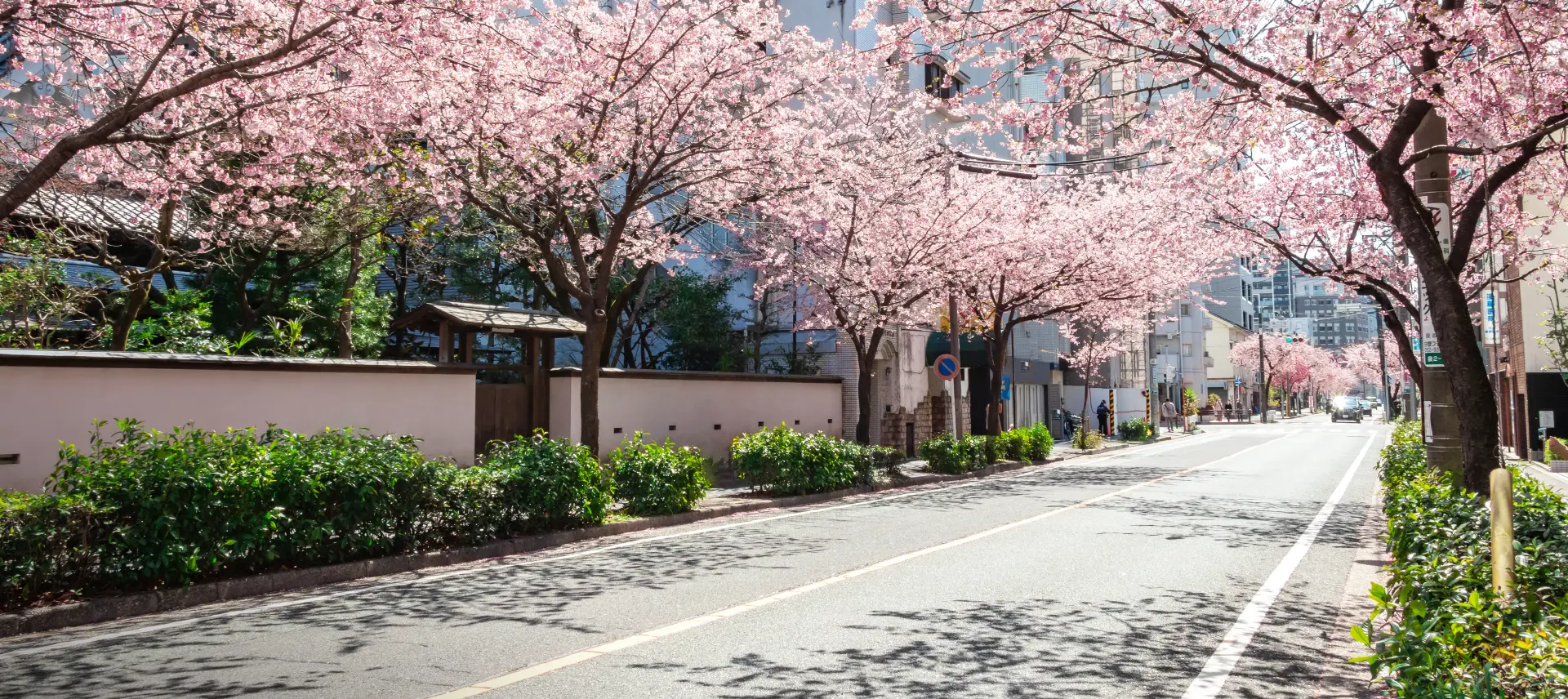 【公式】AOI CROSS TOWER「葵クロスタワー」｜新築分譲マンション｜「東区葵」アドレスに誕生するタワーレジデンス